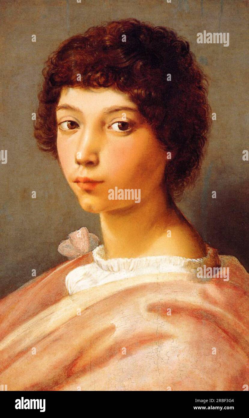 Raphael portrait of a young man hi-res stock photography and images - Alamy
