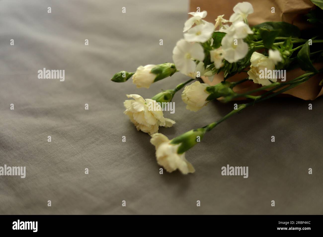 White rose on bed hi-res stock photography and images - Alamy