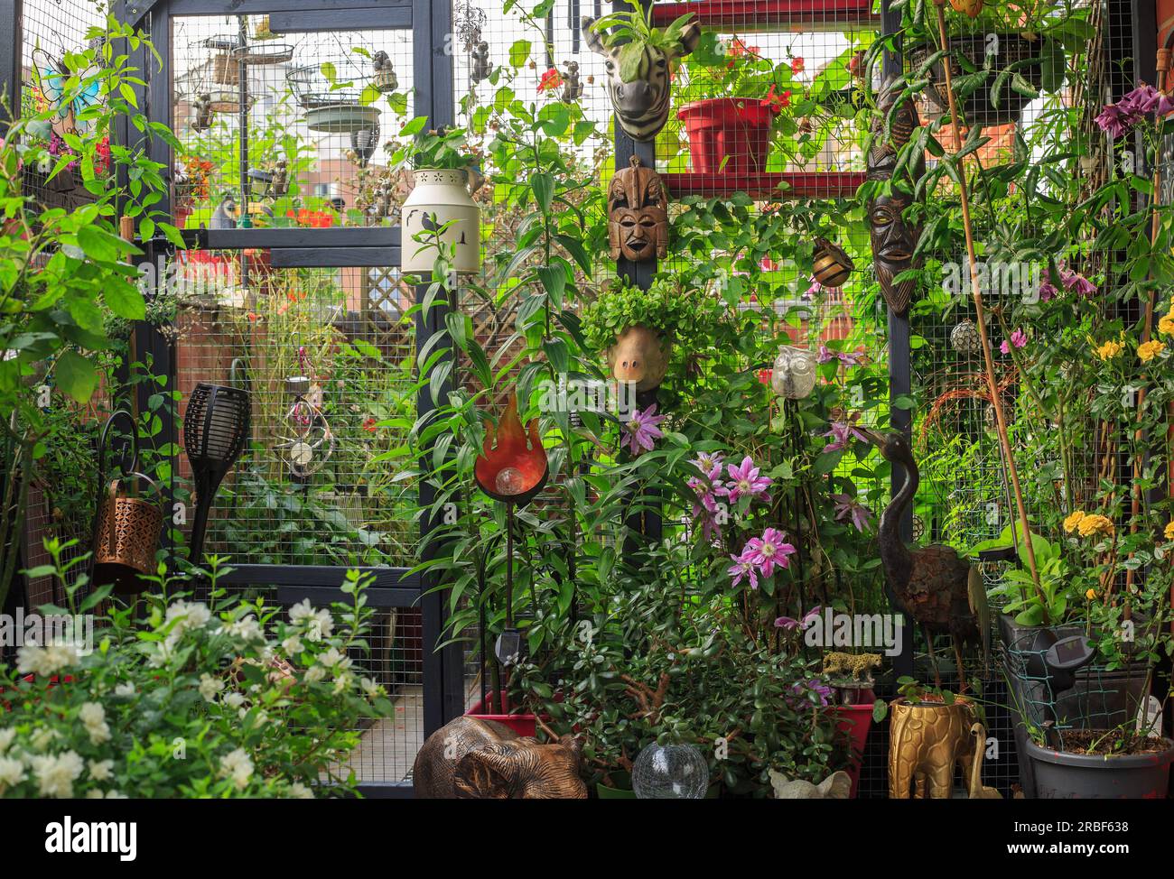 Outdoor enclosed terrace with plants and flowers grwoing through the ...