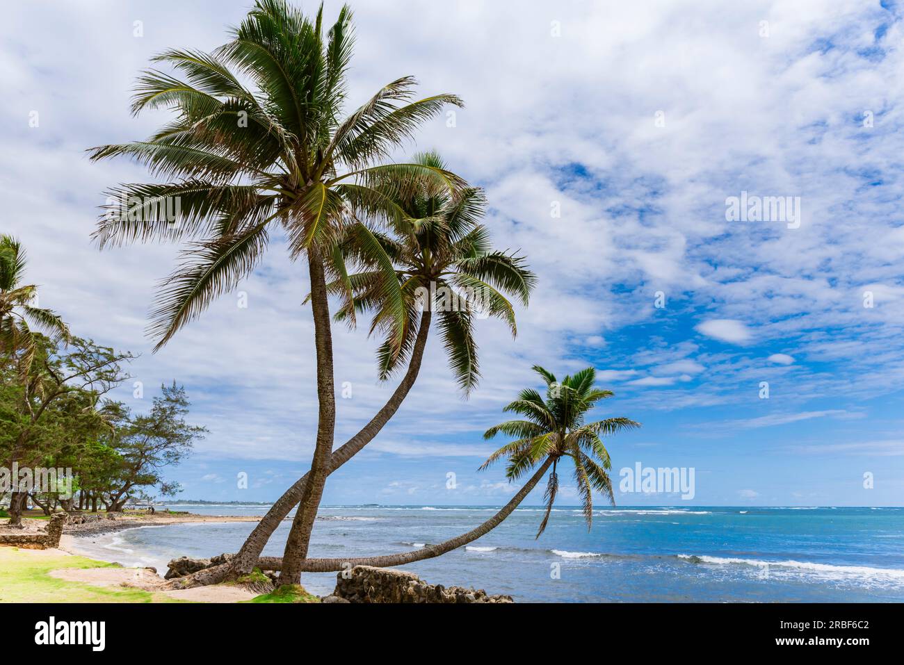 Three palm tree island hi-res stock photography and images - Alamy