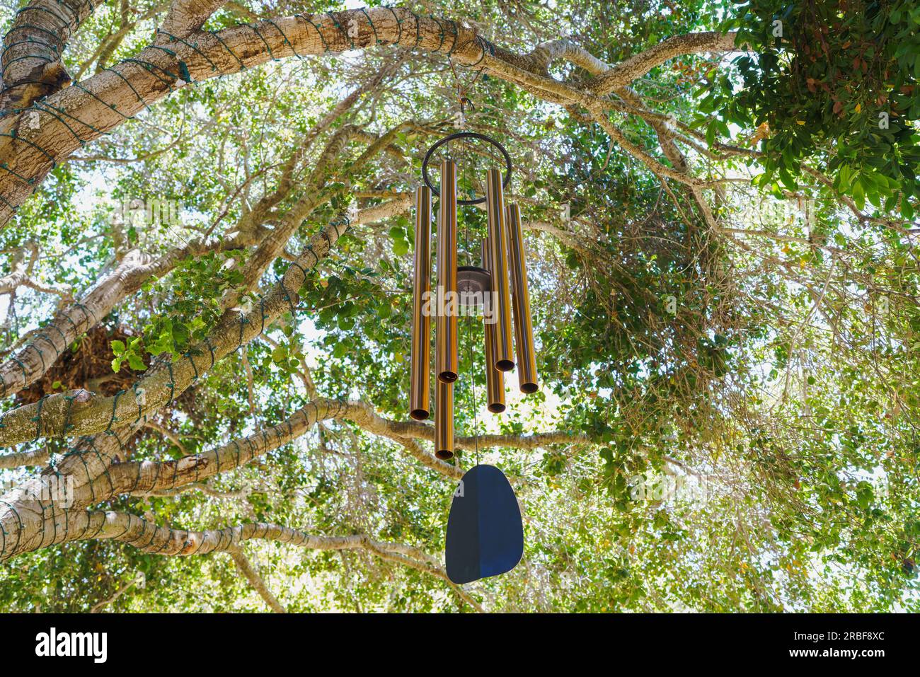 Bell hanging from tree hi-res stock photography and images - Alamy