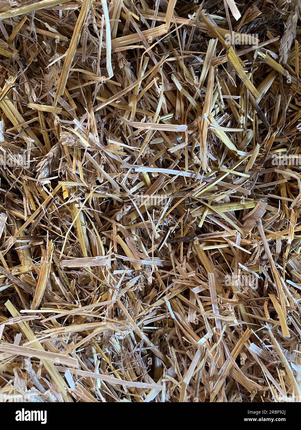 Texture of Straw. Straw is an agricultural byproduct consisting of the ...