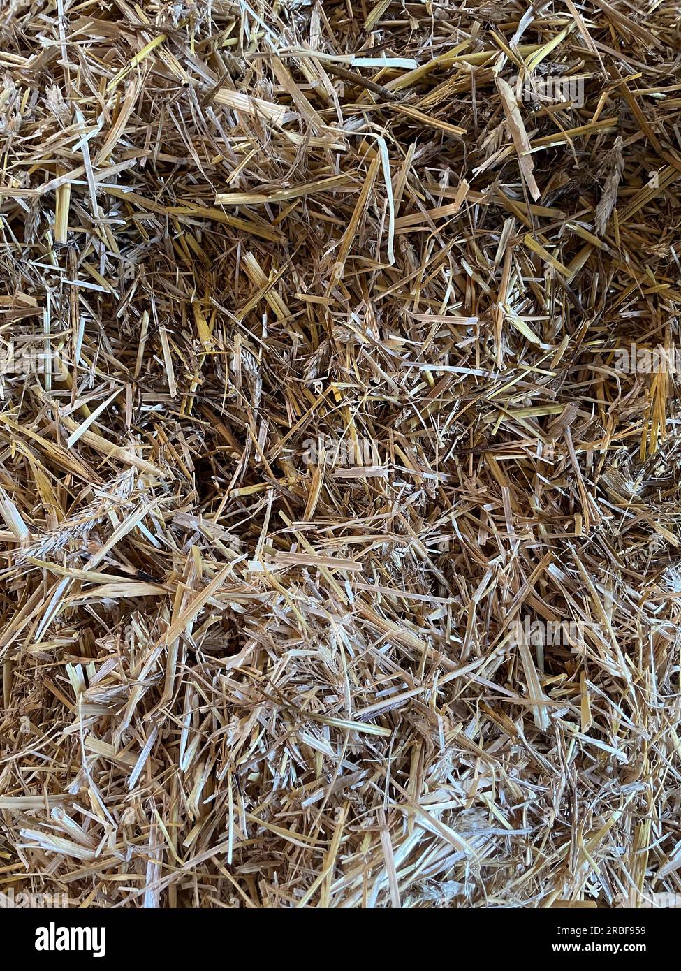 Texture of Straw. Straw is an agricultural byproduct consisting of the ...