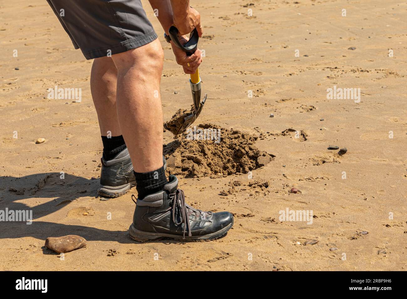 Man digging ahole with a small spade on the bech when metal detecting ...