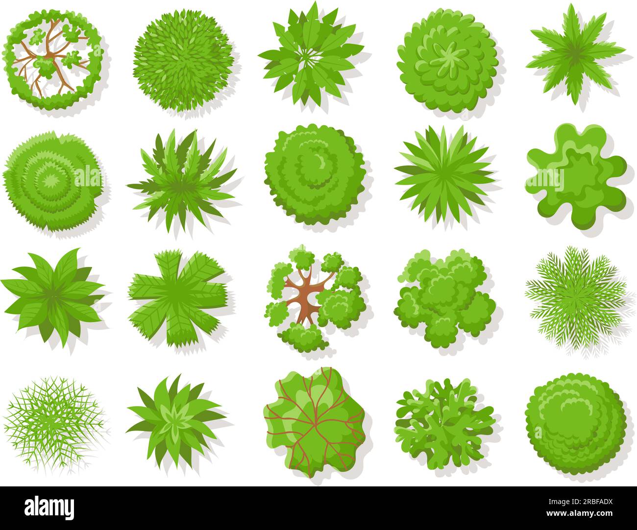 Plant plants vegetation Stock Vector Images - Alamy