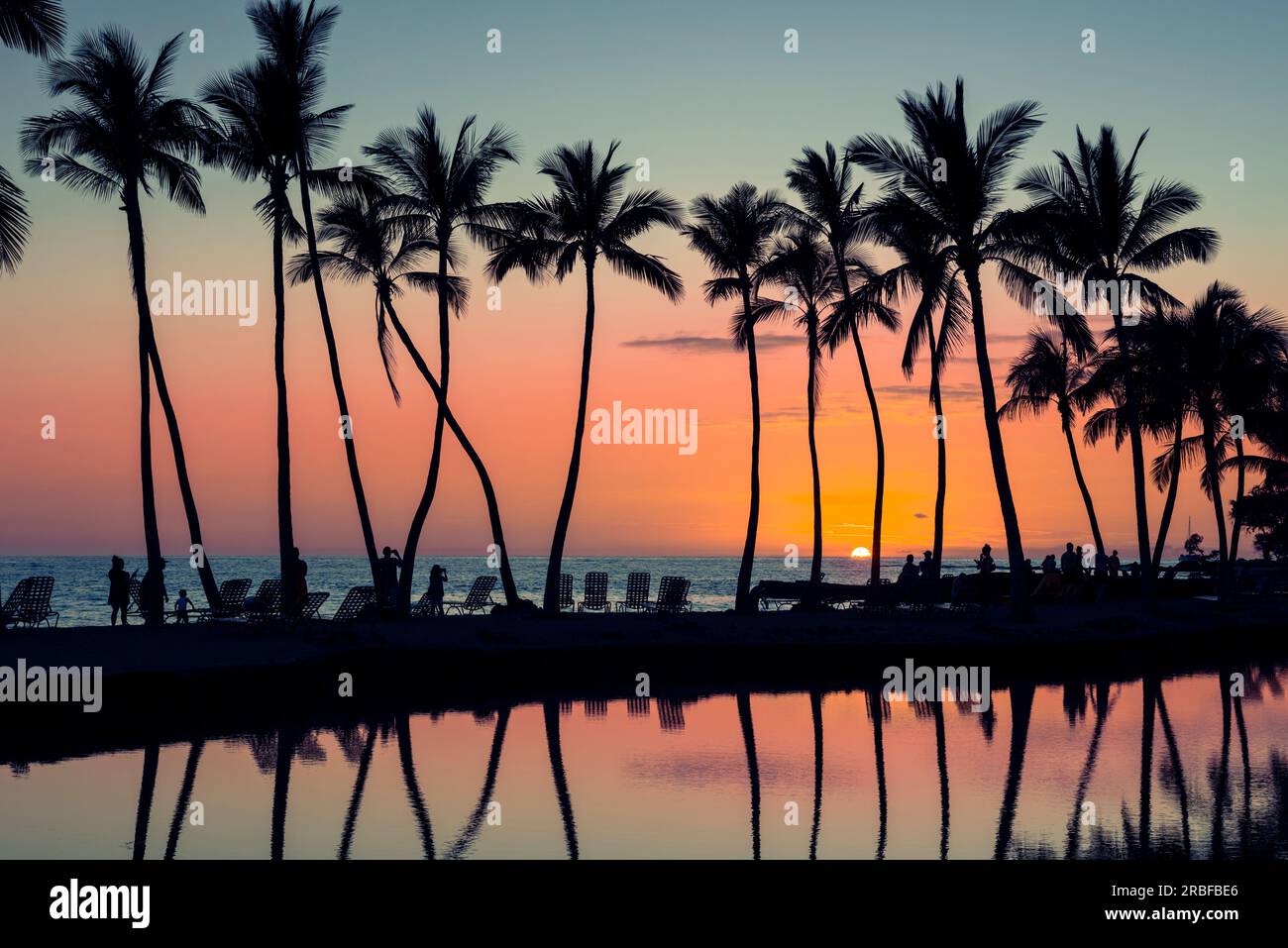 Palm tree reflection and sunset at Waikoloa beach Stock Photo - Alamy