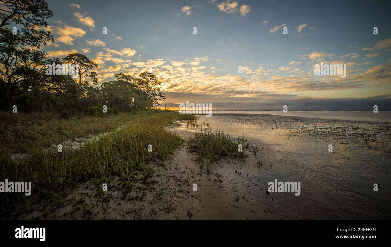 Panacea florida hi-res stock photography and images - Alamy