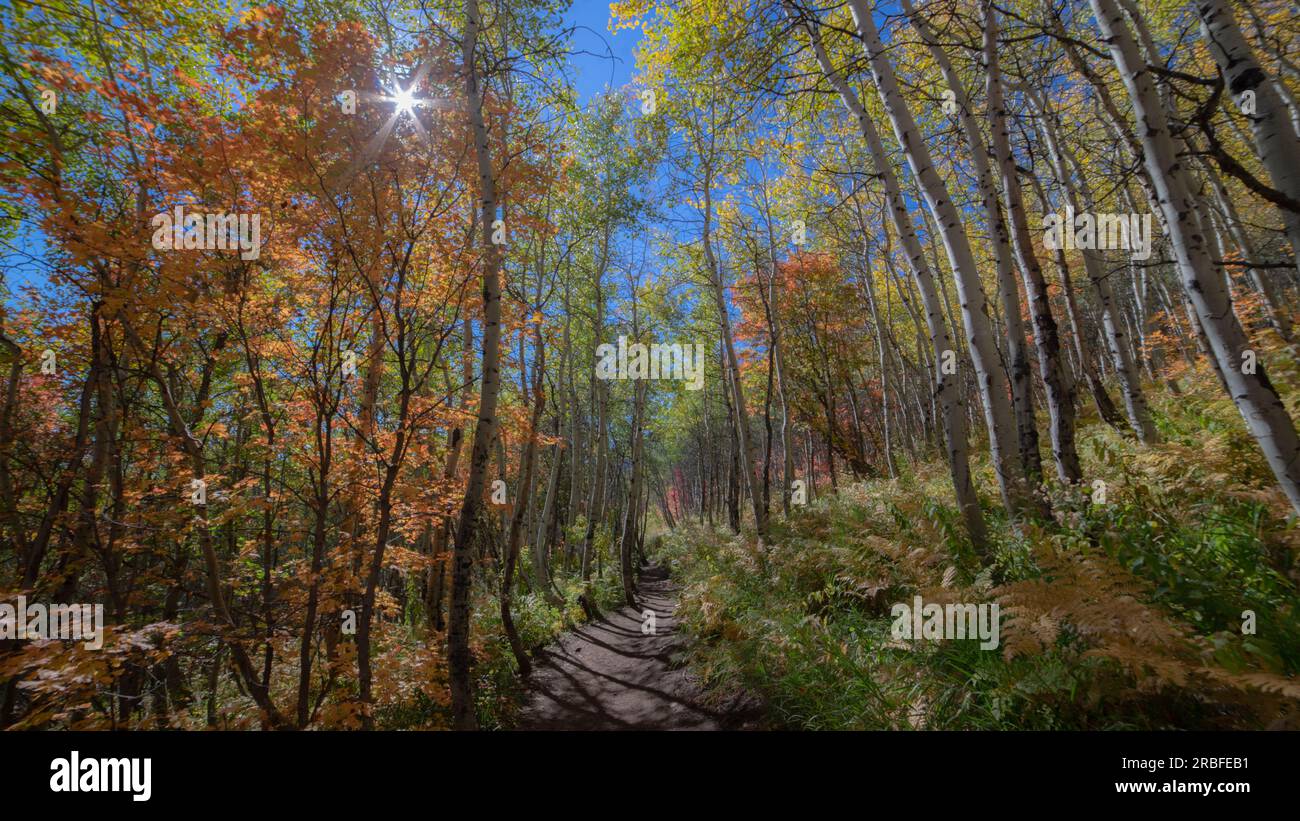 Uinta wasatch cache national forest hi-res stock photography and images ...