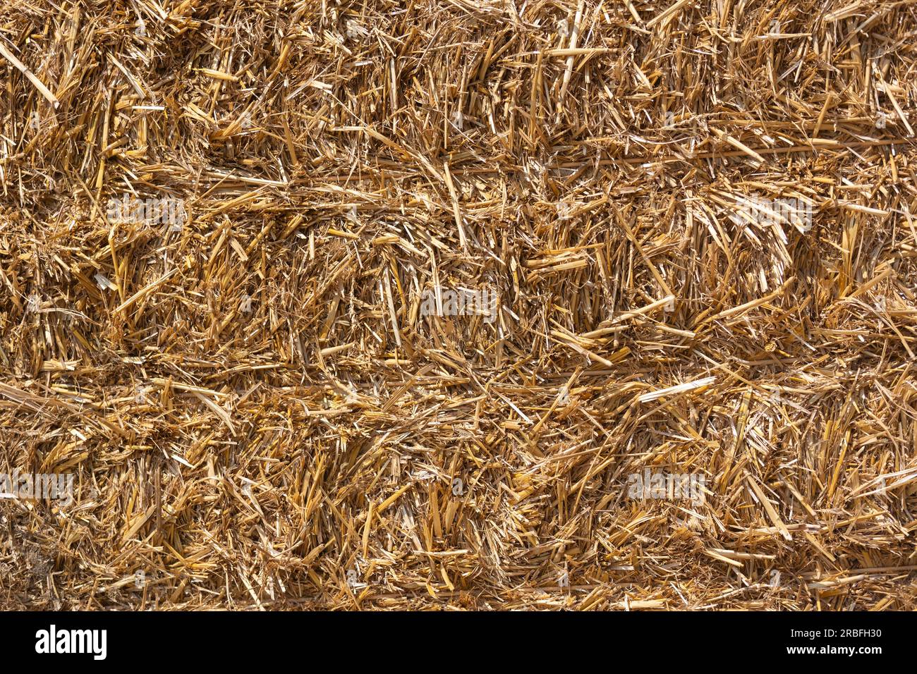 Hay in a bale, background or texture Stock Photo - Alamy