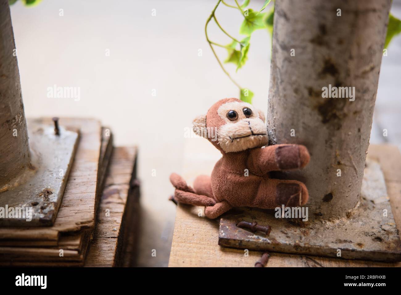 Climbing monkey toy hi-res stock photography and images - Alamy