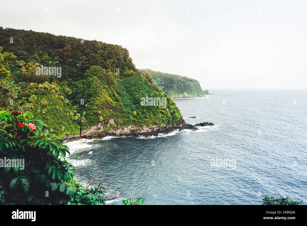 Cliffs covered in jungle vegetation on the Shore of Maui Stock Photo ...