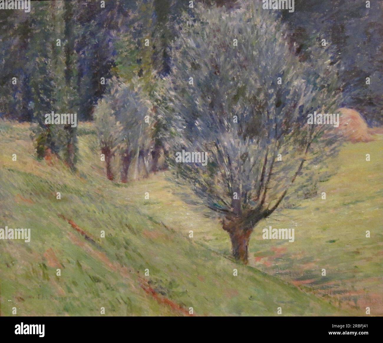 Forrest robinson hi-res stock photography and images - Alamy