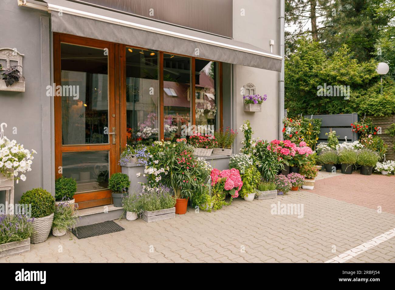 Facade of beautiful flower shop with different housplants and flowers ...