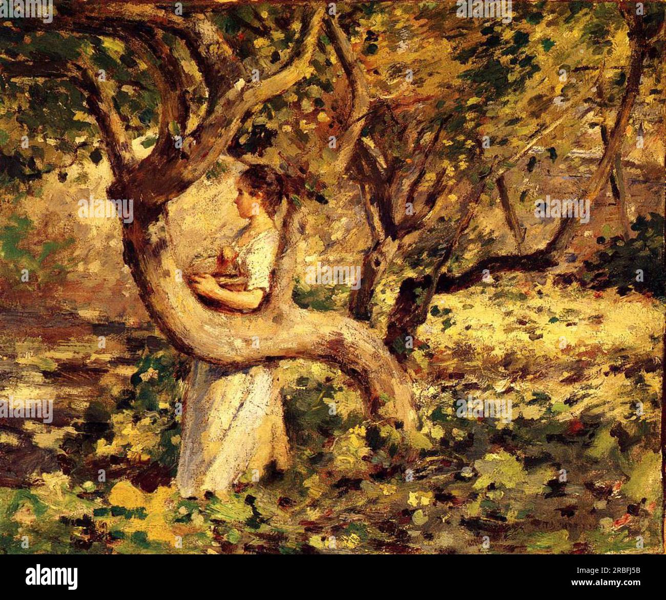 Robinson in garden hi-res stock photography and images - Alamy
