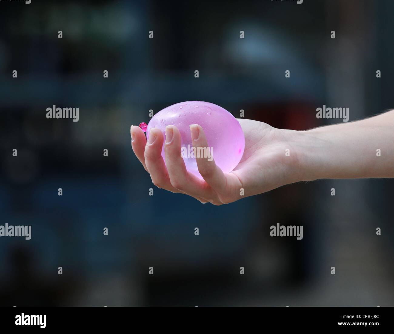 A female hand holding a pink water balloon ready for a water balloon ...