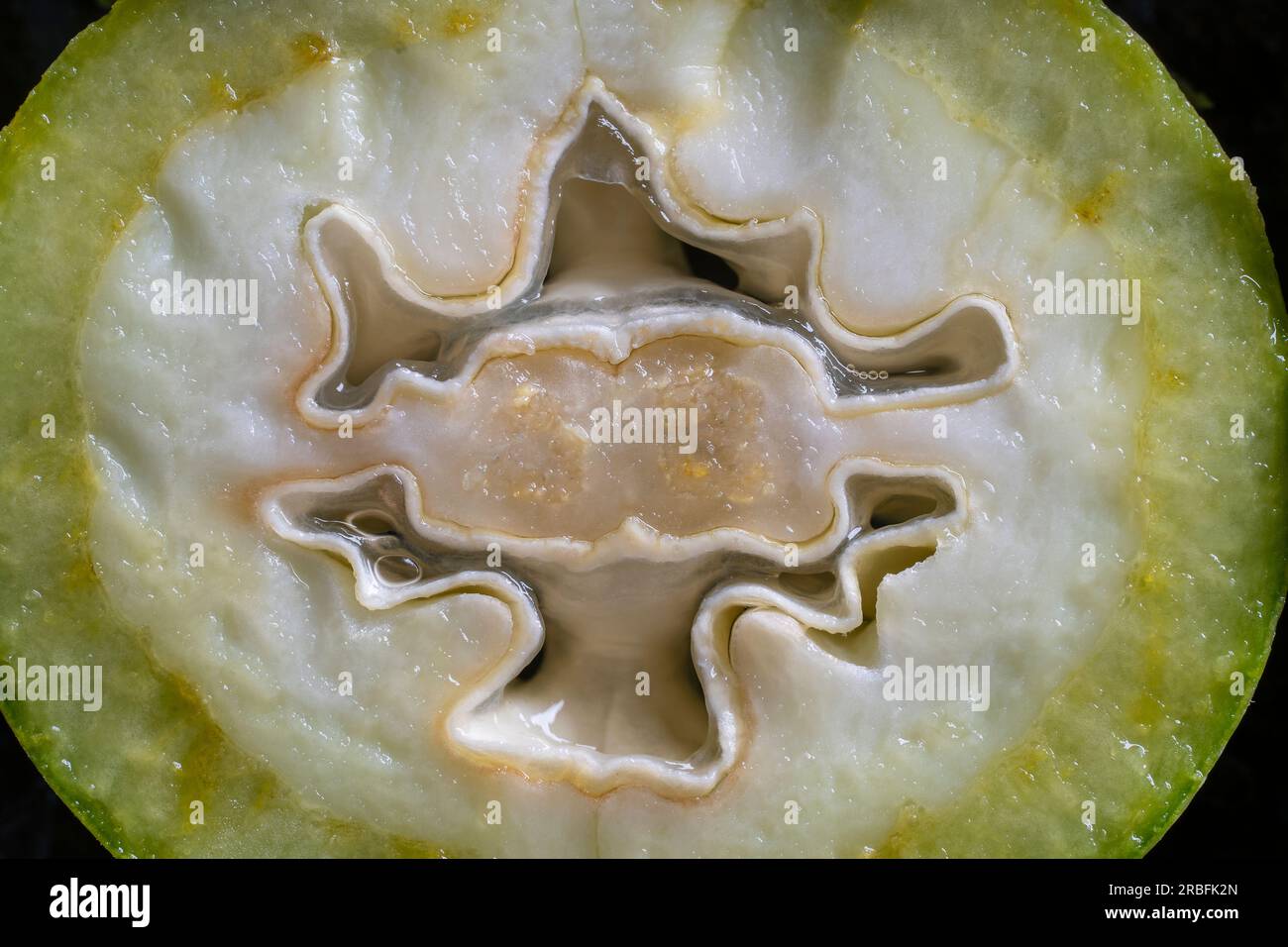 Green young walnut cut in half, texture or background, macro, top view ...