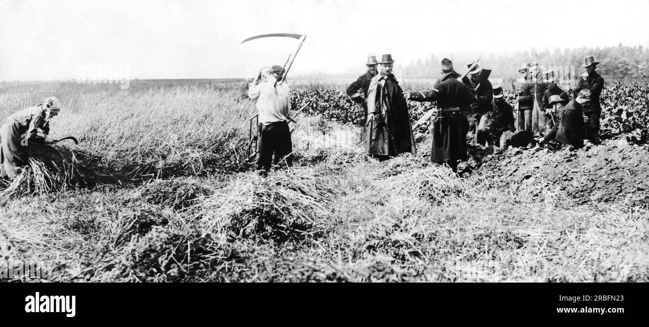 Farmers with scythes in the field hi-res stock photography and images ...