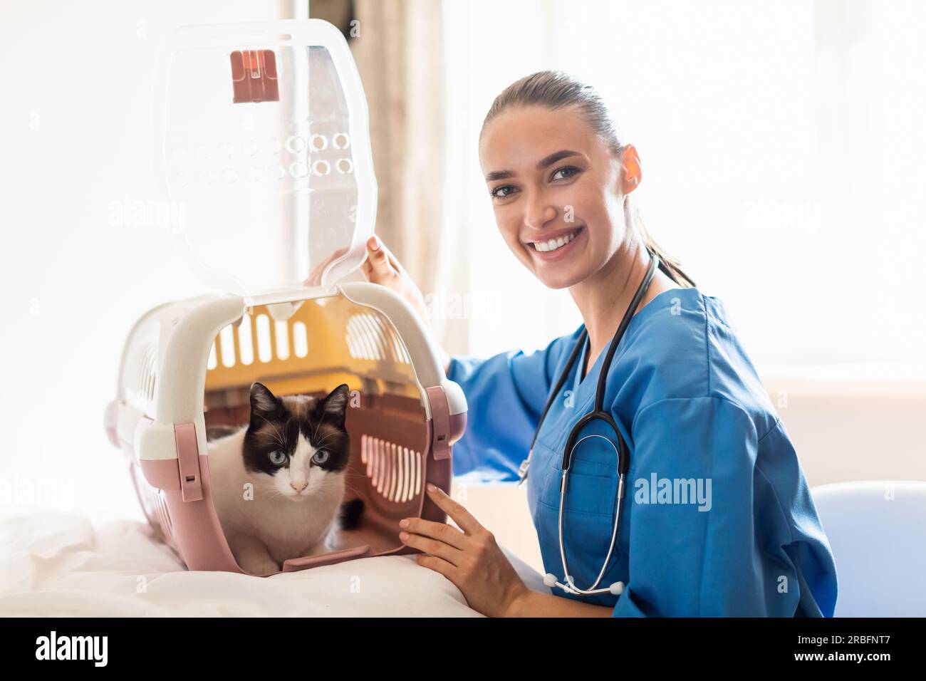 Happy Veterinarian Doctor Posing With Cat In Carrier At Clinic Stock ...