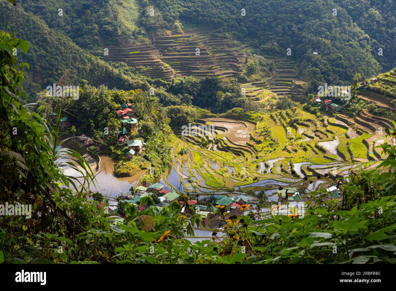 Amazing panorama view of rice terraces fields and village houses in ...