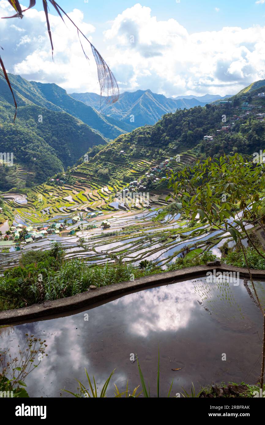 A vertical shot of Batad Rice Terraces, Luzon, Philippines. Blue sky ...