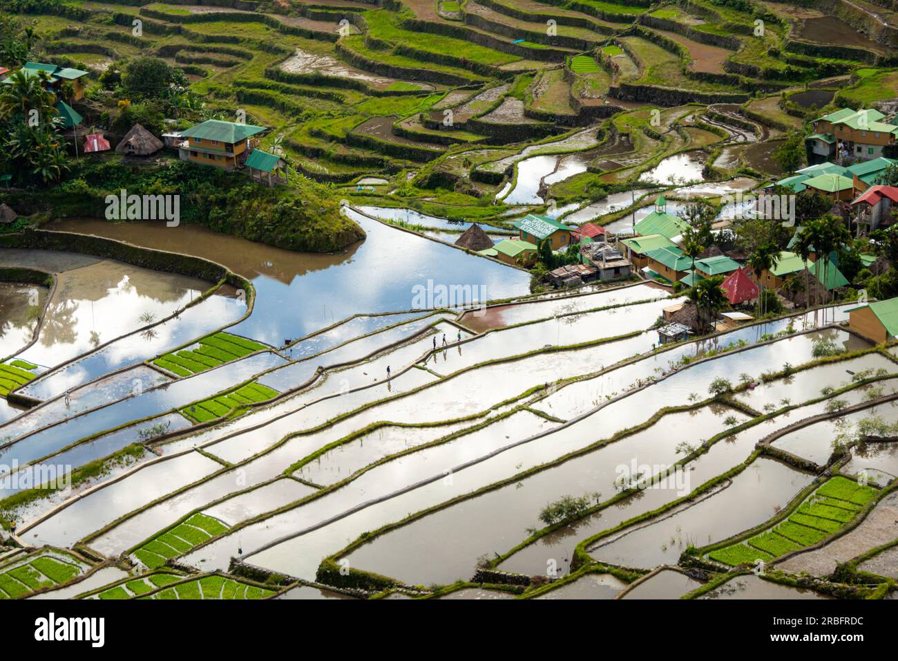 Tourists guided by a local guide enjoying the beauty of the Batad Rice ...