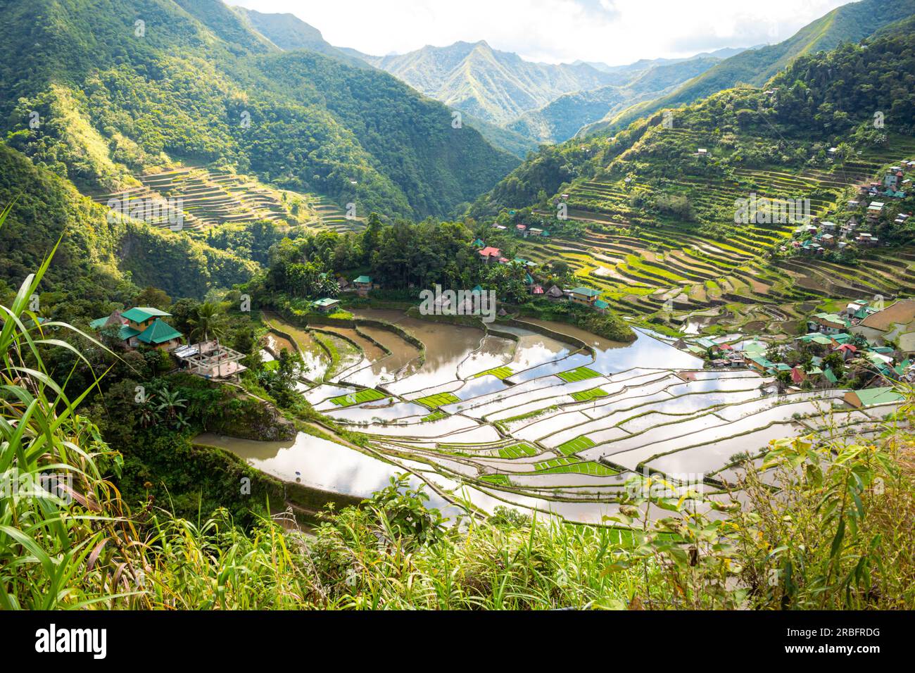 A mesmerizing view of Batad Rice Terraces, Luzon, Philippines ...