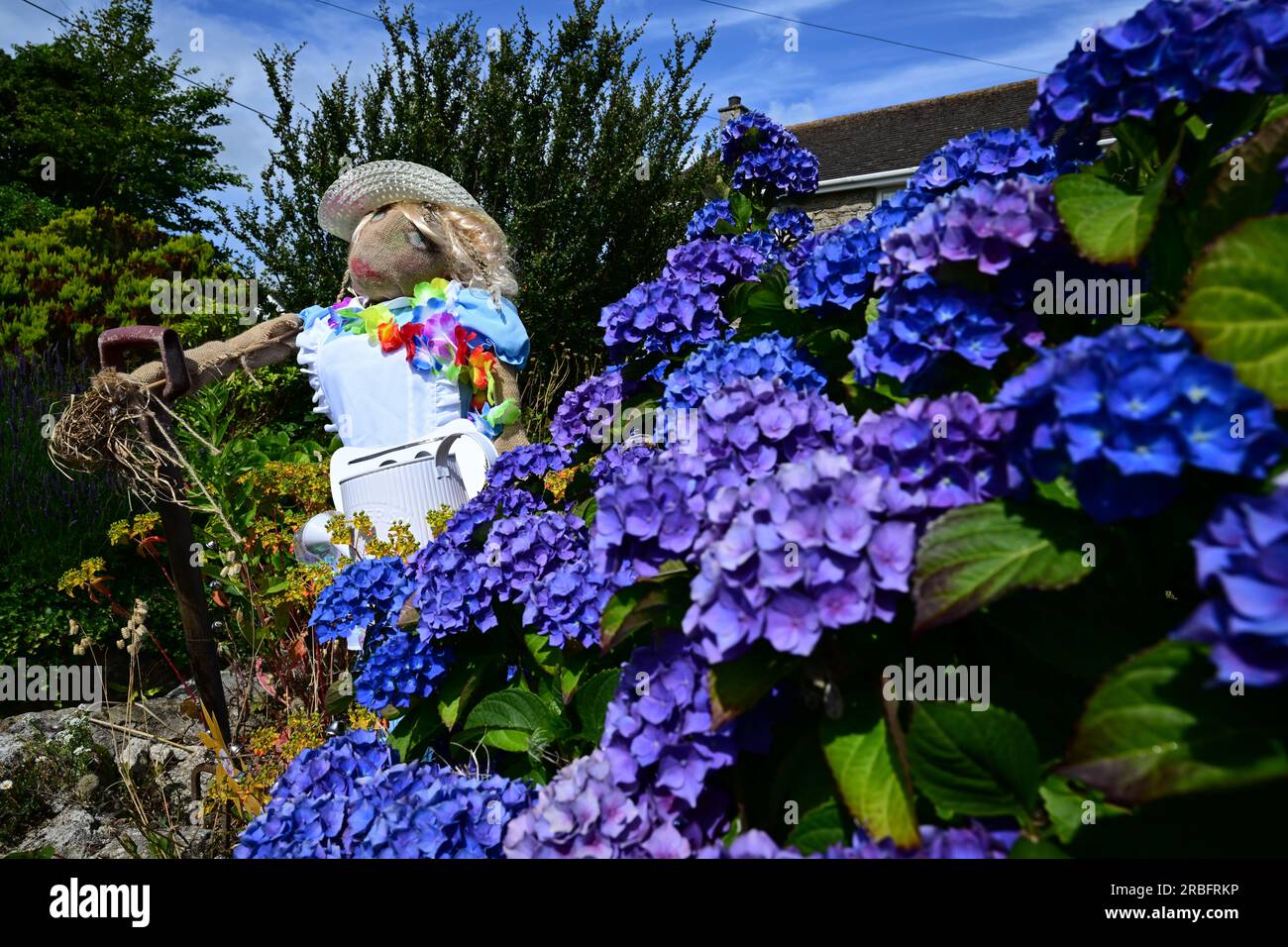 Scarecrows, stithians, town, gardens, straw, hats, clothes, flowers ...