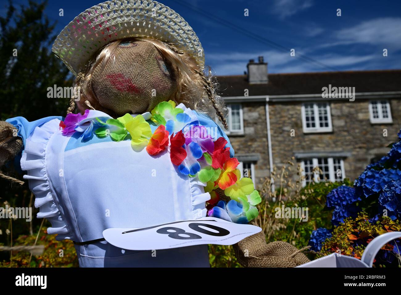 Decoy spider hi-res stock photography and images - Alamy