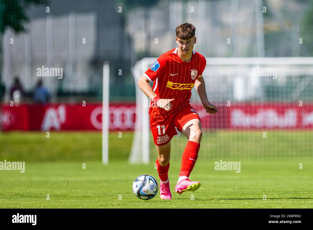 Bull hansen hi-res stock photography and images - Alamy