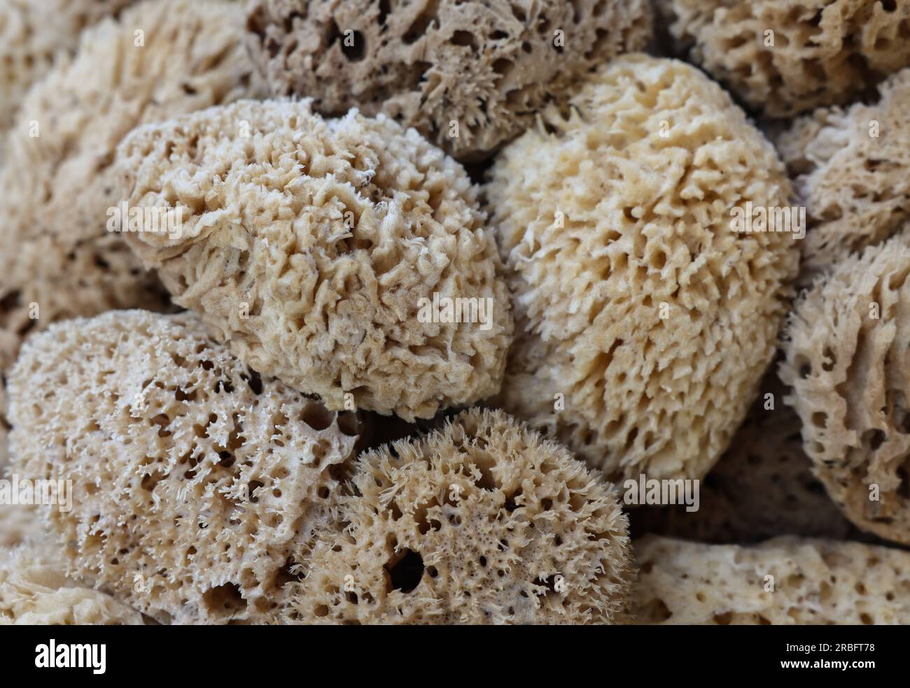 Diving sponges greece hi-res stock photography and images - Alamy