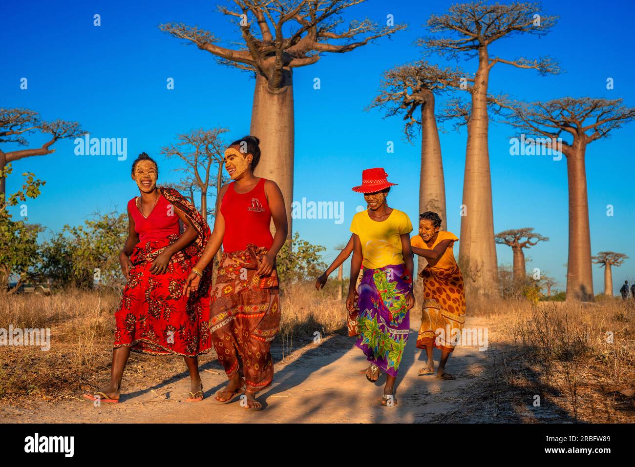 Malagasy morondava women in the baobab avenue of ethnic Sakalava with ...