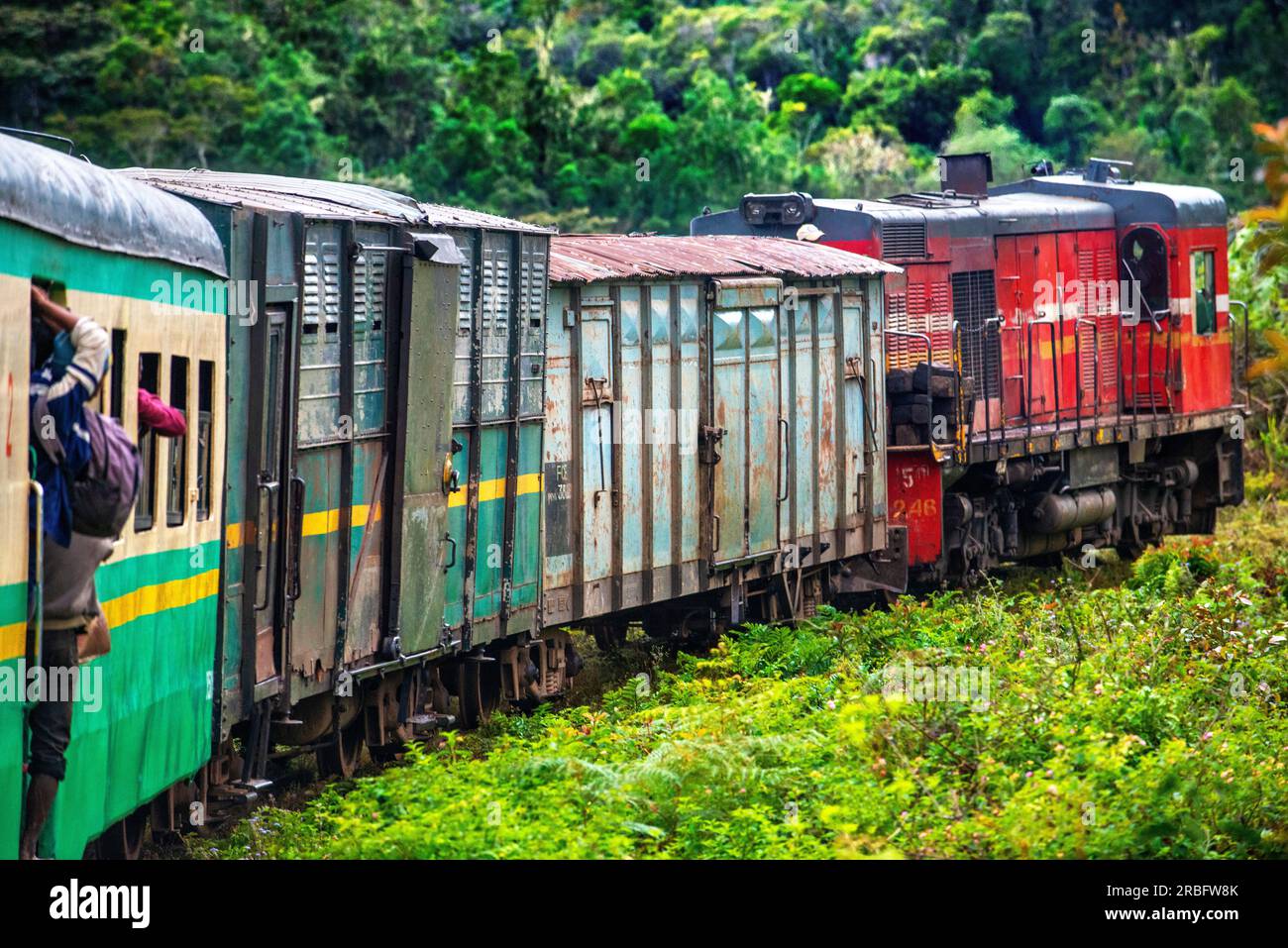 Madagascar rainforest train hi-res stock photography and images - Alamy