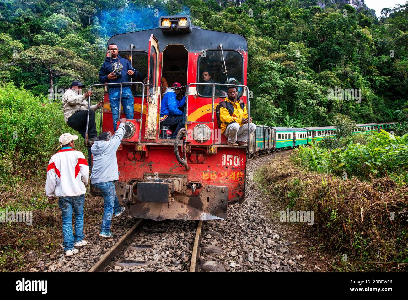 Madagascar rainforest train hi-res stock photography and images - Alamy