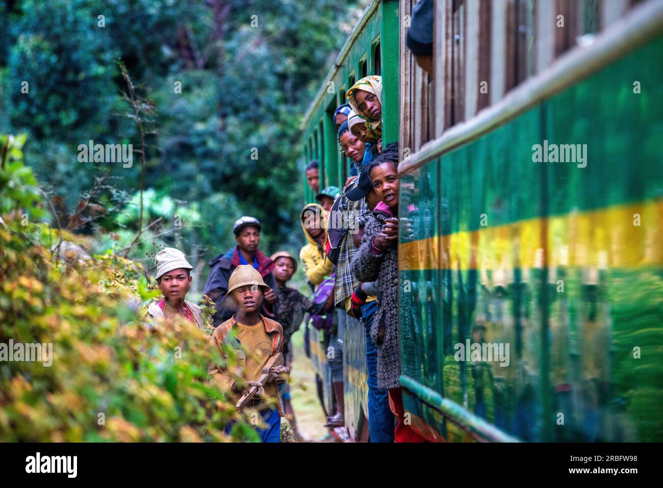 Madagascar rainforest train hi-res stock photography and images - Alamy