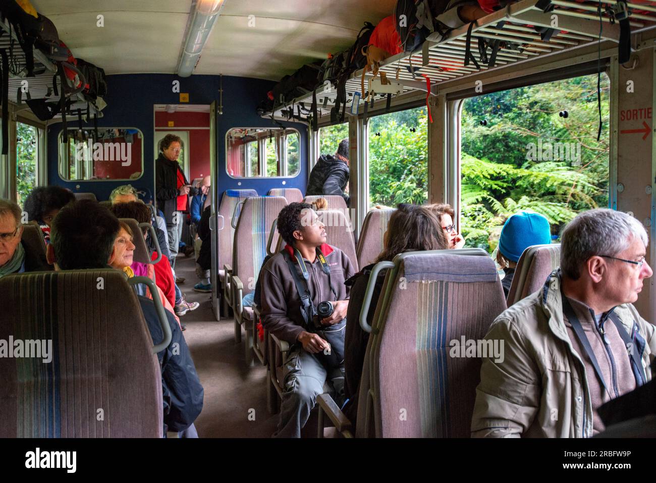 Madagascar rainforest train hi-res stock photography and images - Alamy