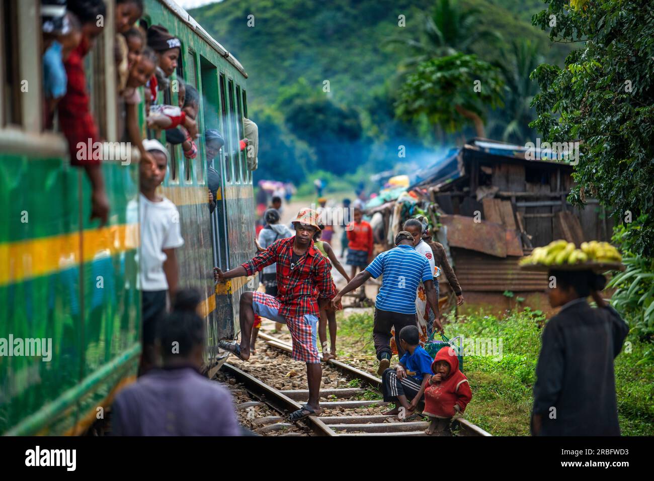 Jungle train madagscar hi-res stock photography and images - Alamy
