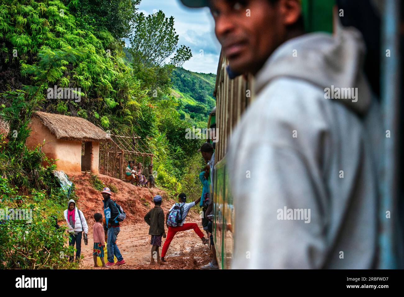 Madagascar rainforest train hi-res stock photography and images - Alamy