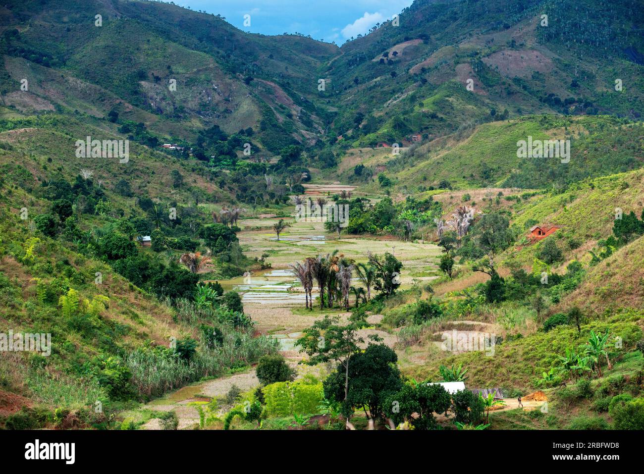 Madagascar rainforest train hi-res stock photography and images - Alamy