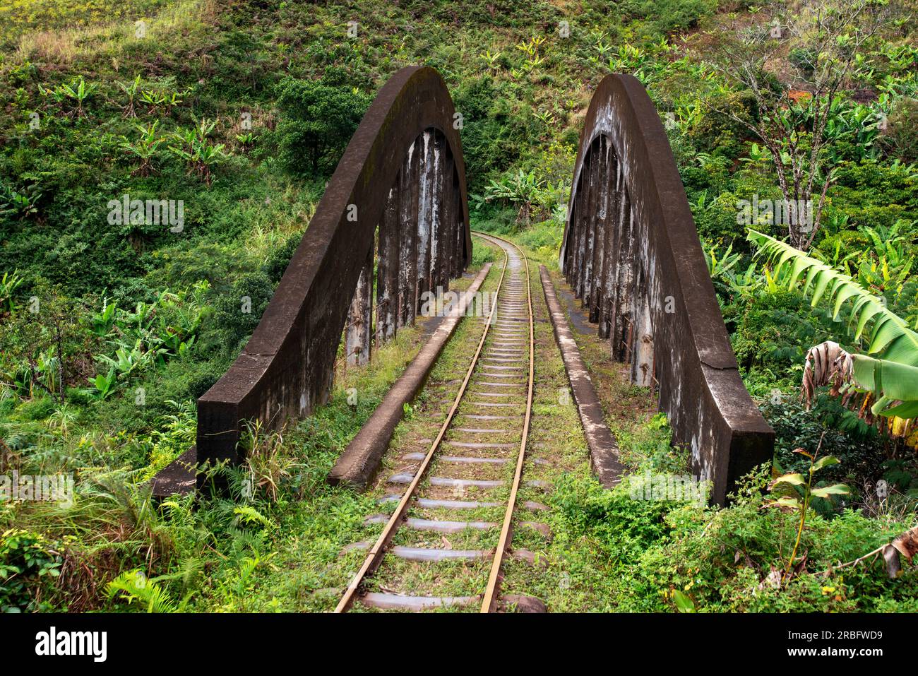 Madagascar rainforest train hi-res stock photography and images - Alamy