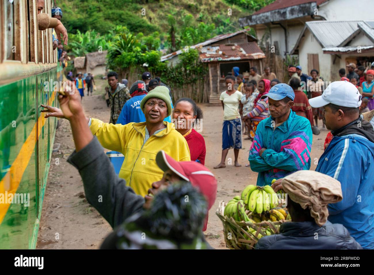 Madagascar rainforest train hi-res stock photography and images - Alamy