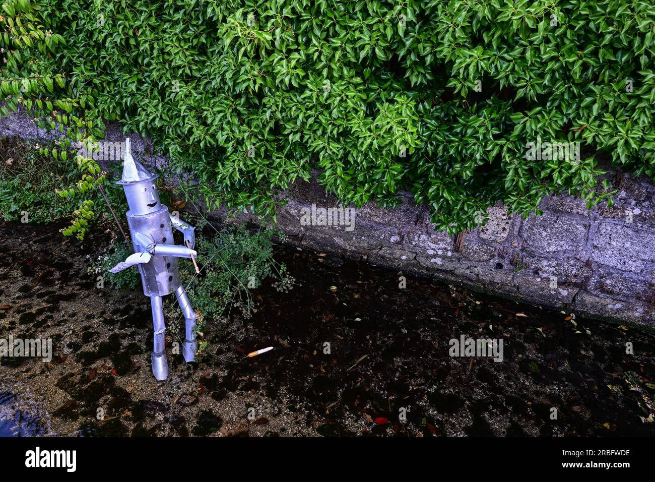 Scarecrows, stithians, town, gardens, straw, hats, clothes, flowers ...