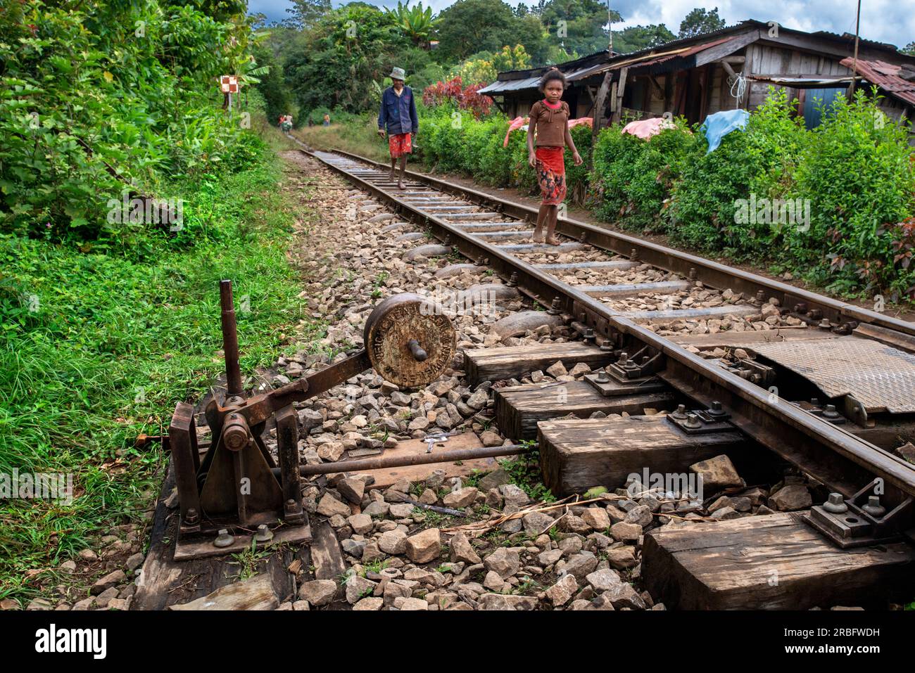 Madagascar rainforest train hi-res stock photography and images - Alamy