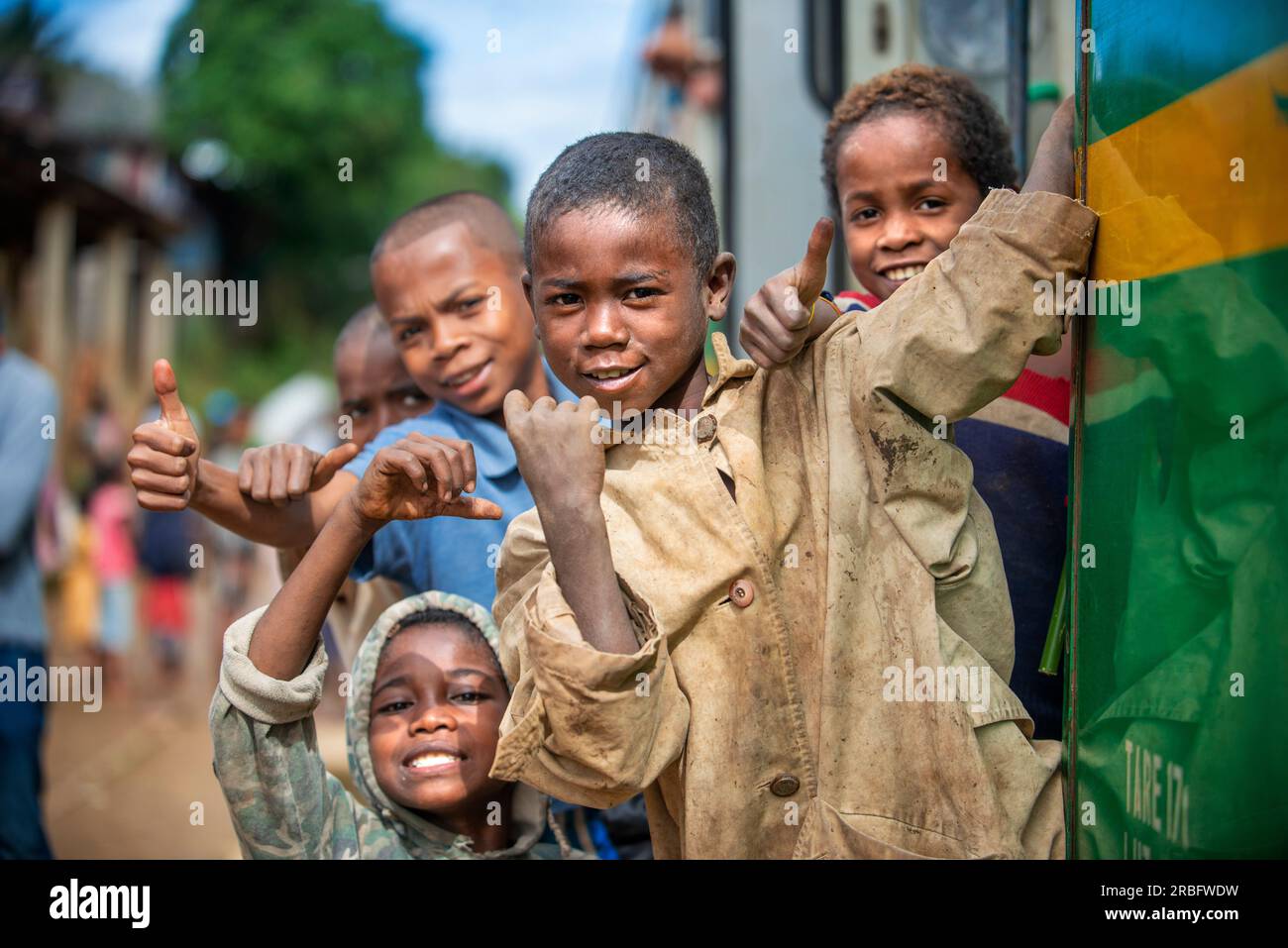 Madagascar rainforest train hi-res stock photography and images - Alamy
