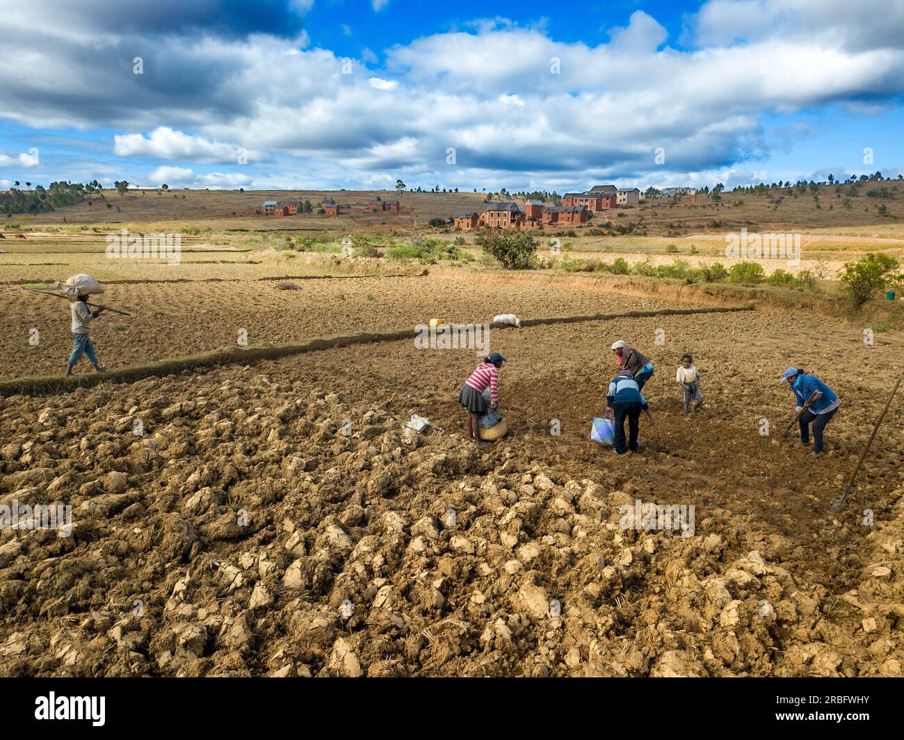 Rural scene in Madagascar in rural communities near Ambatolampy in the ...