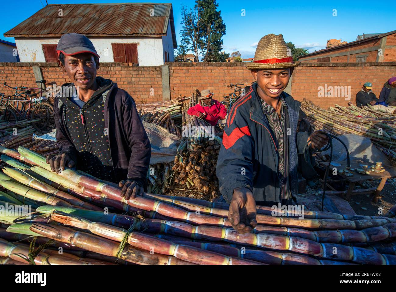 Local market, sugar cane for sale near Antsirabe, Central Madagascar ...