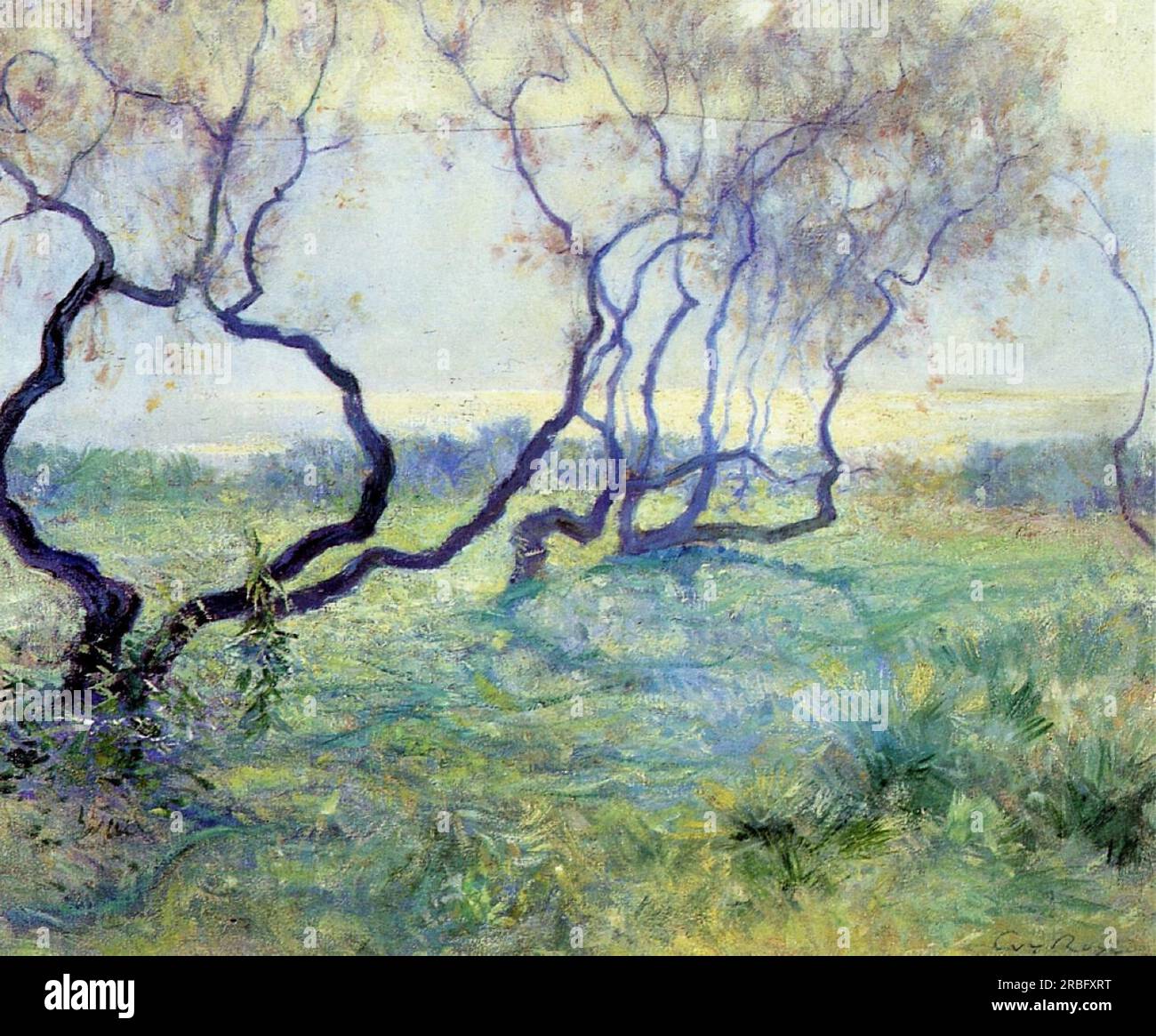 Tamarisk Trees in Early Sunlight by Guy Rose Stock Photo - Alamy