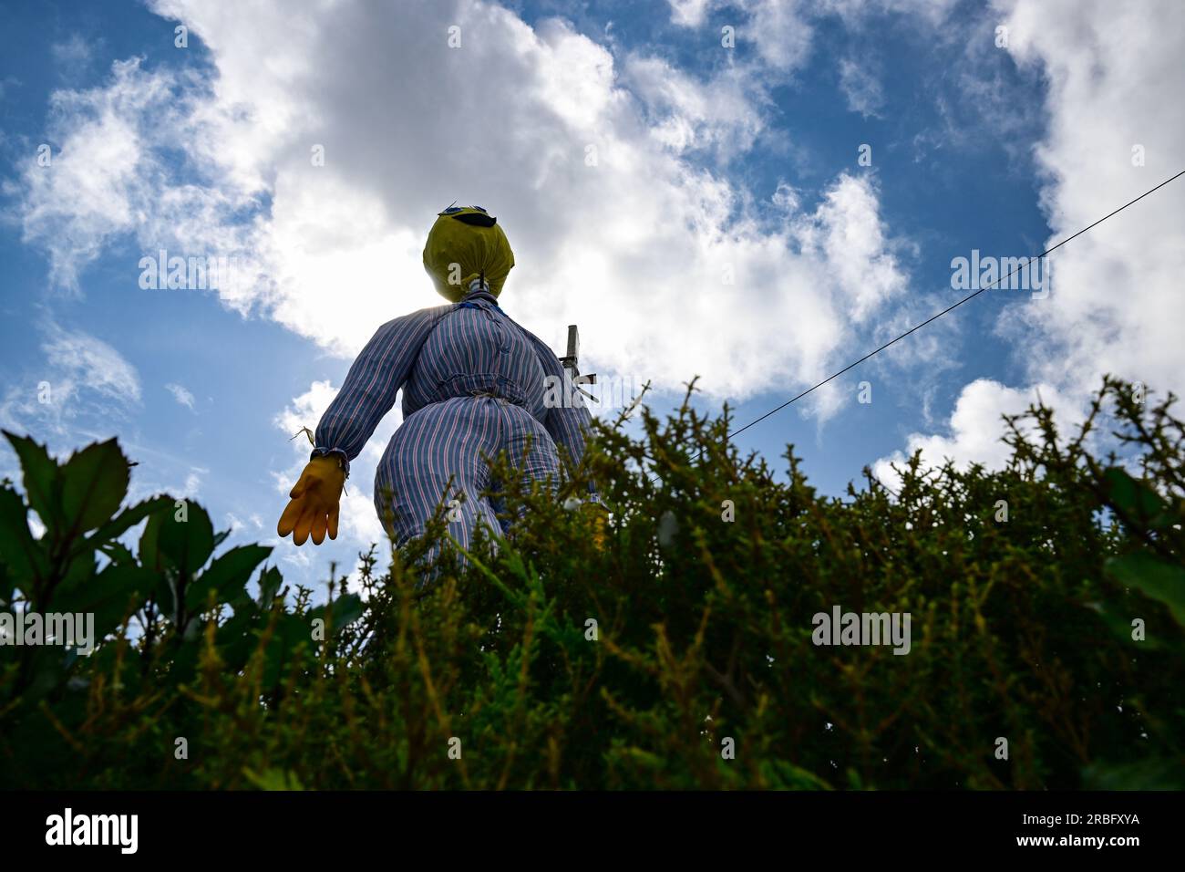 Scarecrows, stithians, town, gardens, straw, hats, clothes, flowers ...