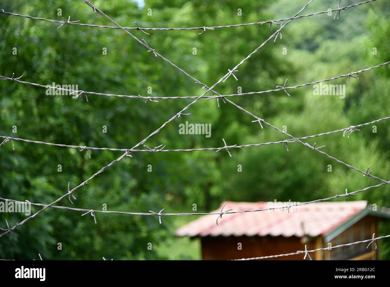 old border fence made of barbed wire Stock Photo - Alamy