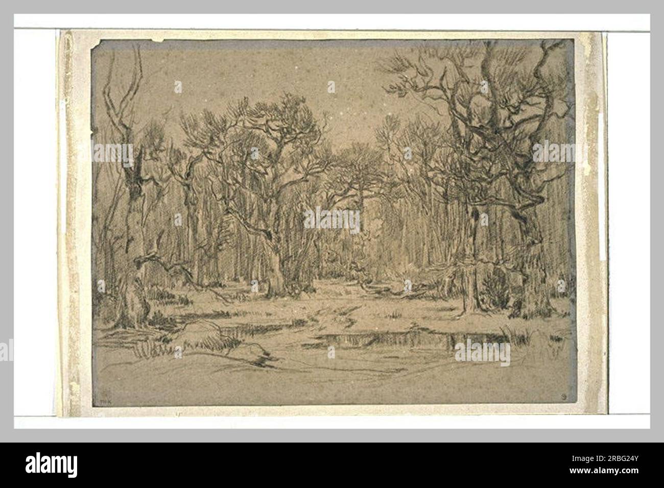 The Forest in Winter by Theodore Rousseau Stock Photo - Alamy