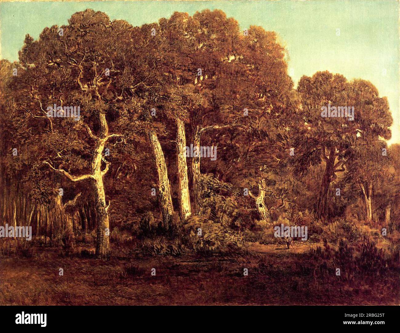 The Great Oaks of Old Bas-Breau 1864 by Theodore Rousseau Stock Photo ...